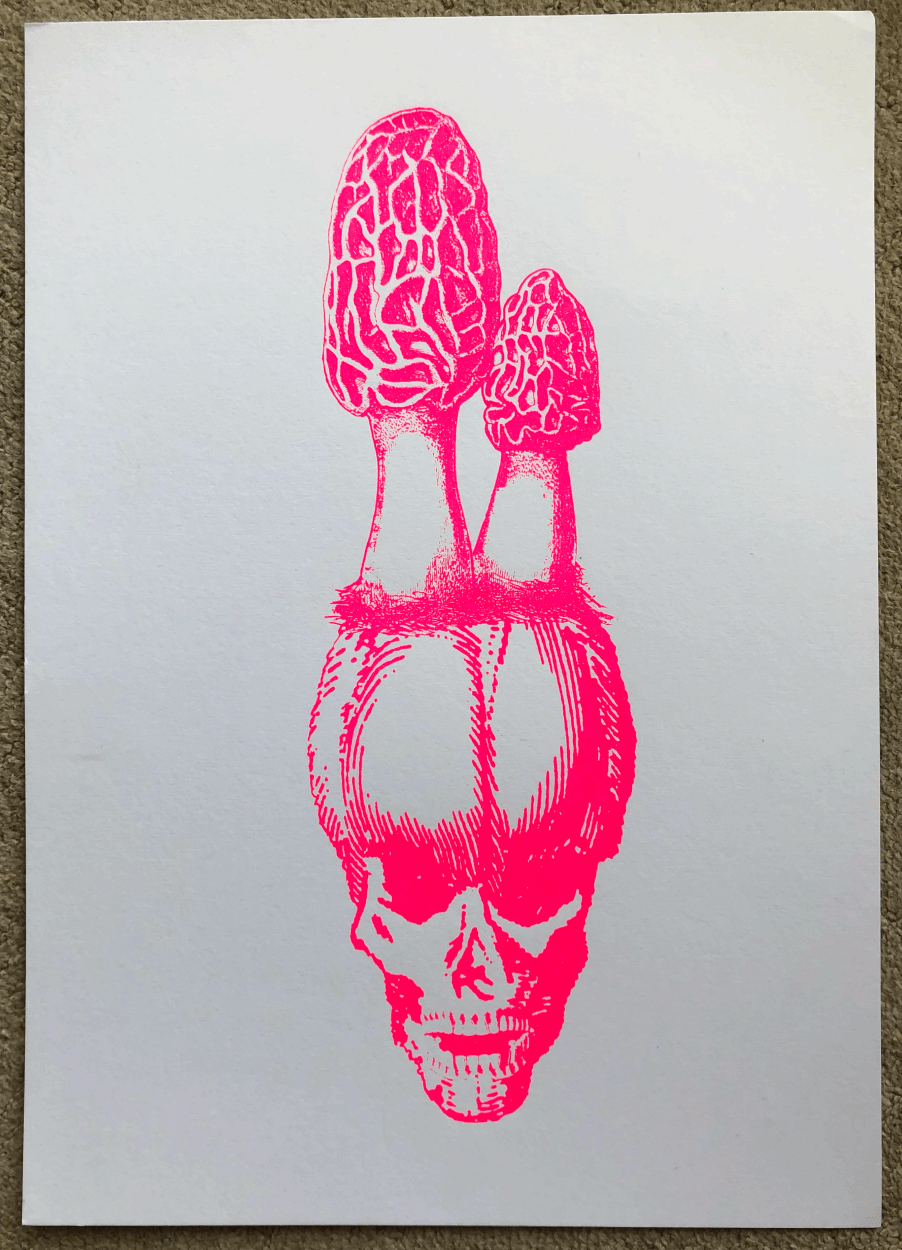 Mushroom Brain - Sean Azzopardi | Stopwatch Gallery | Art Gallery
